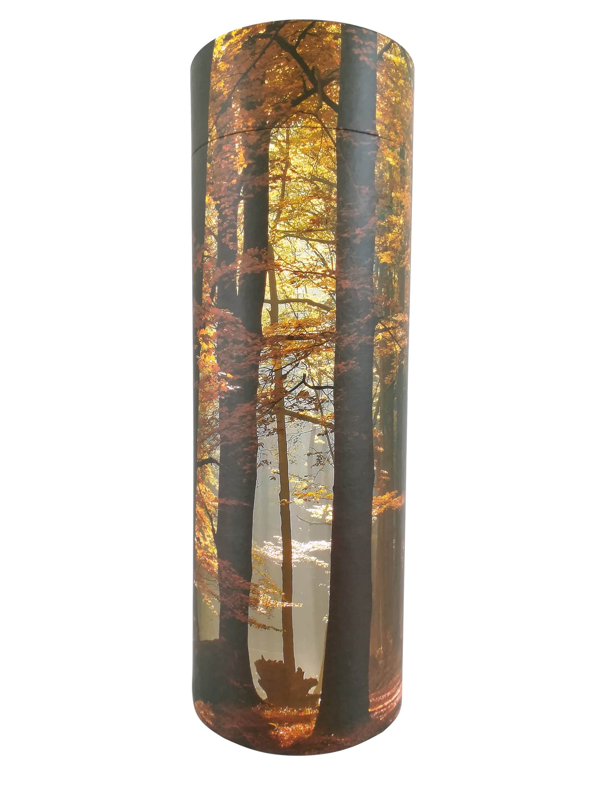 Scatter Tubes For Ashes | Low Prices