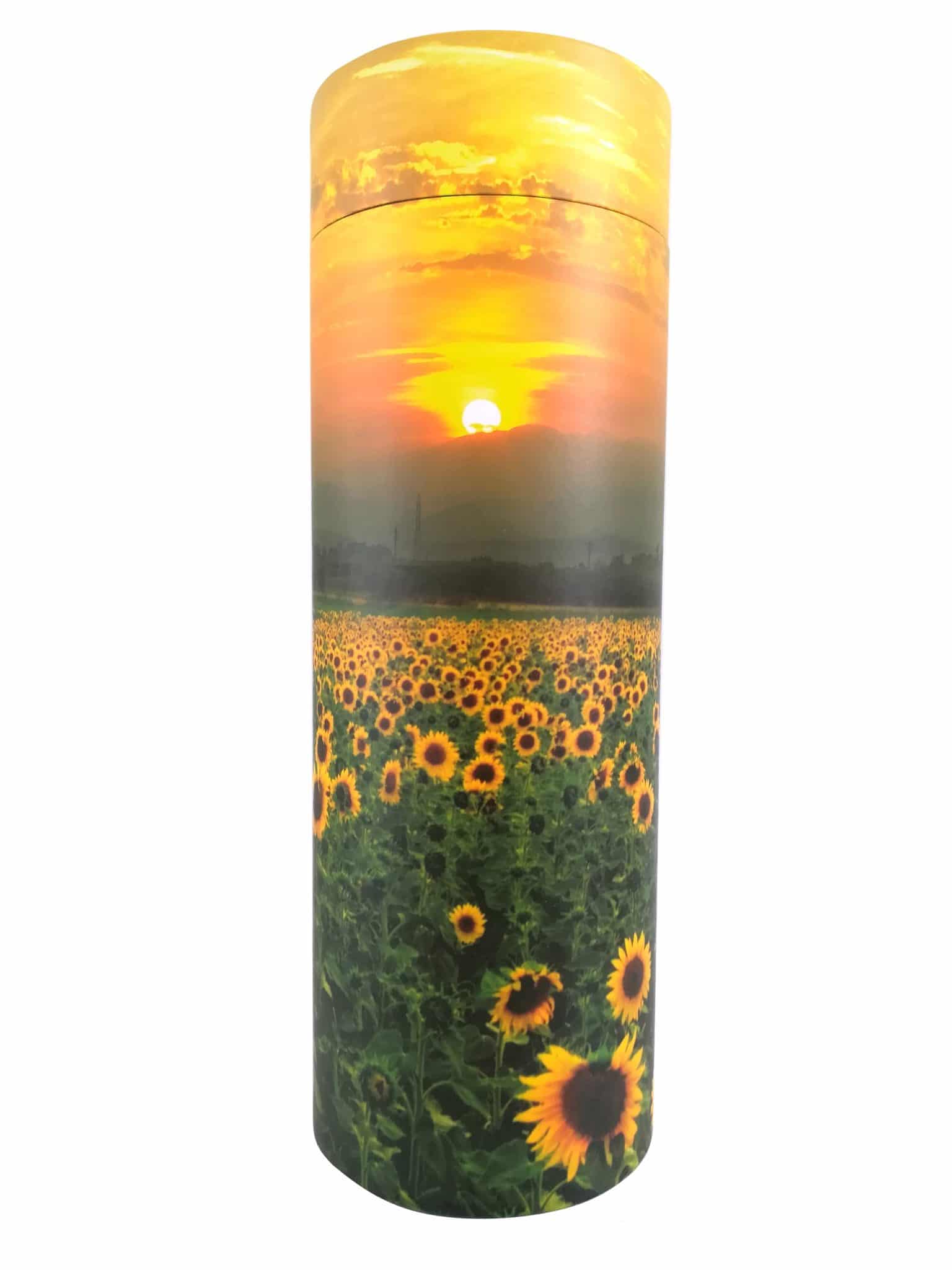 Scatter Tubes For Ashes | Low Prices